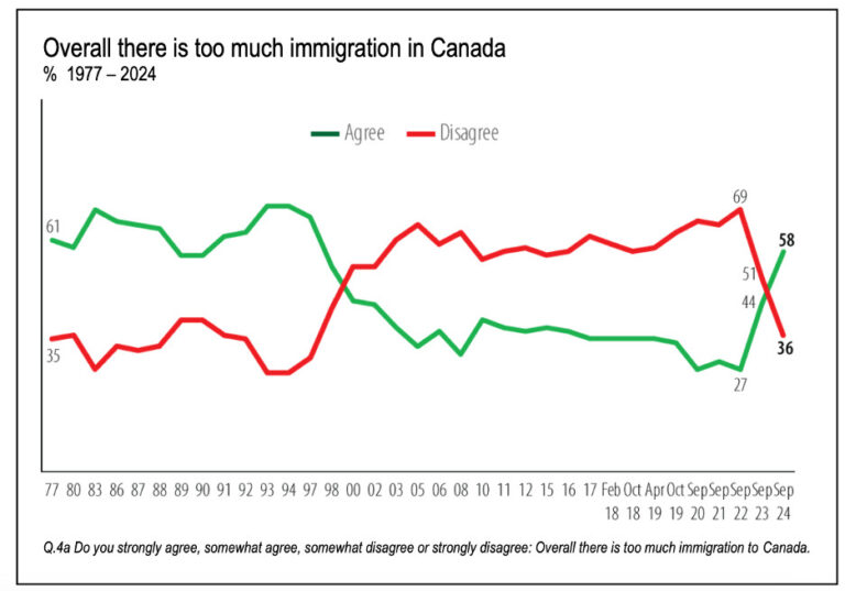 Key Issues in the Levels Plan - Racism and Anti-Immigrant Sentiment | AAISA